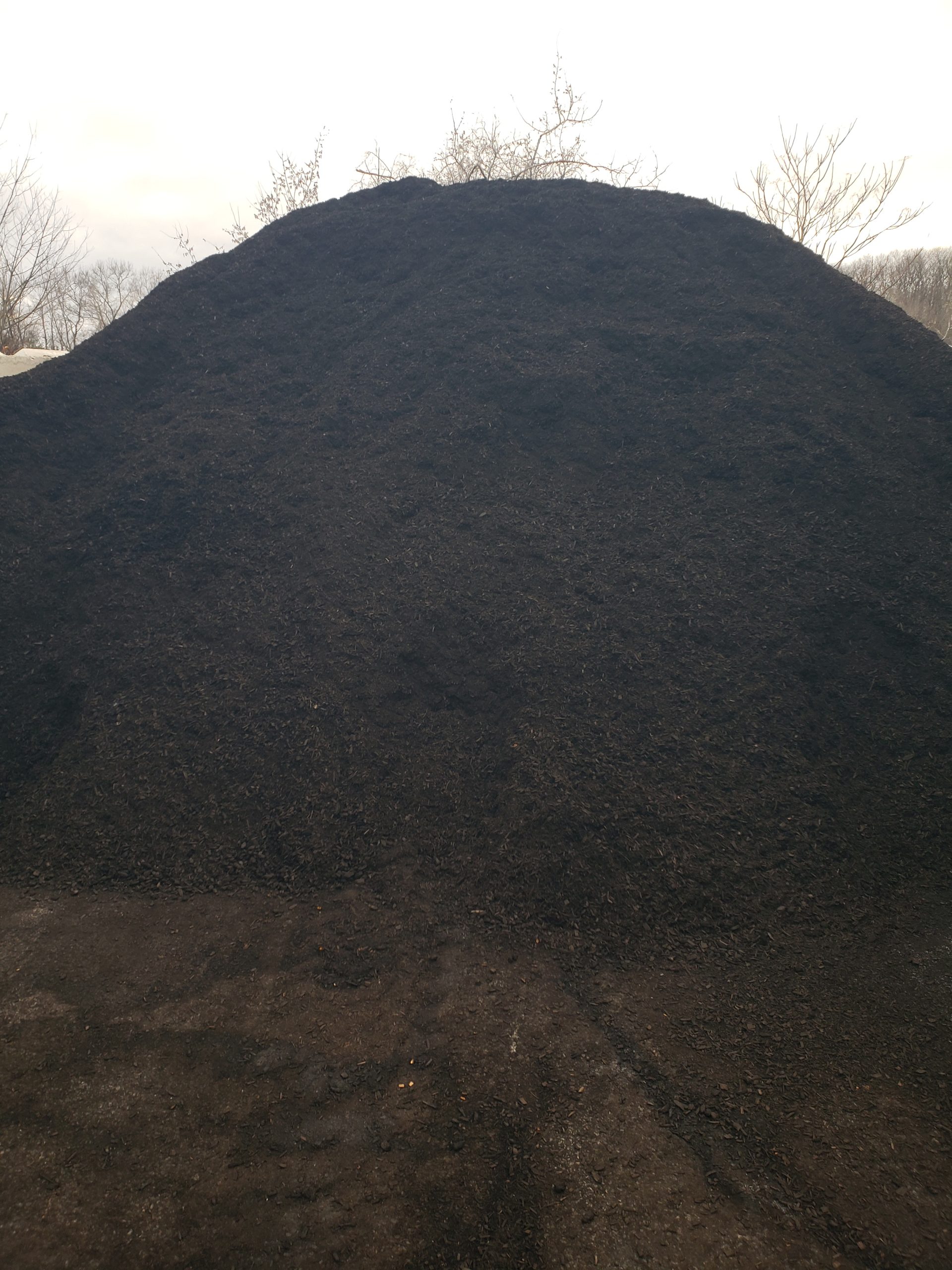 Black Bark Mulch (Black Mulch) - Mass Landscape Supplies & Equipment ...